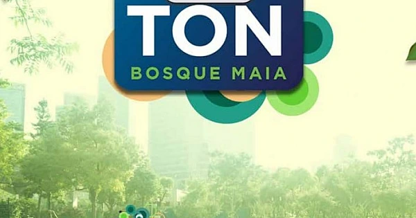 TON Bosque Maia Econ - Opções 2 e 3 Dormitórios, 55m² 3 68m²
